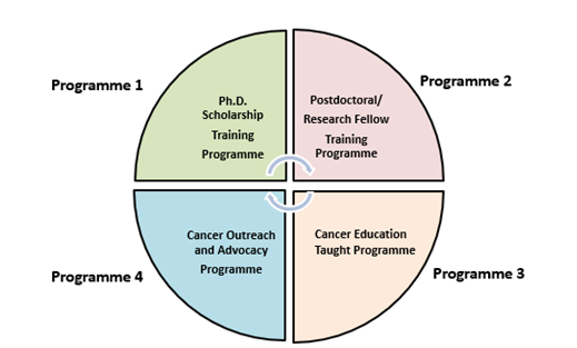 Education at TSJCI | St James's Hospital