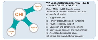 SCOPe HSCP Voice | Supporting Adolescents and Young Adults (AYAs) to ...