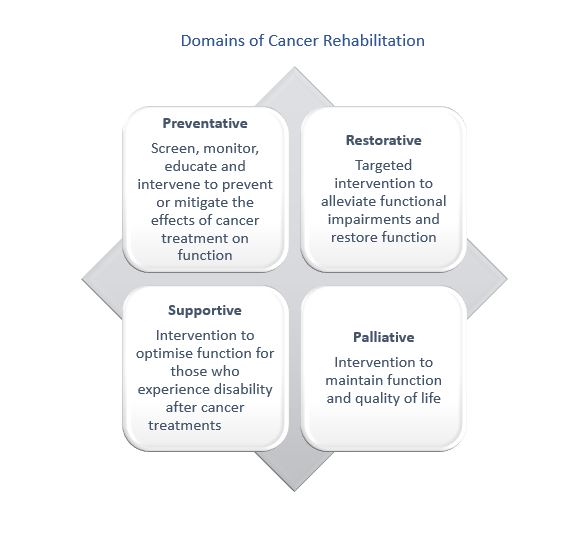 SCOPe HSCP Voice | The Role of Exercise in Cancer Rehabilitation | St ...